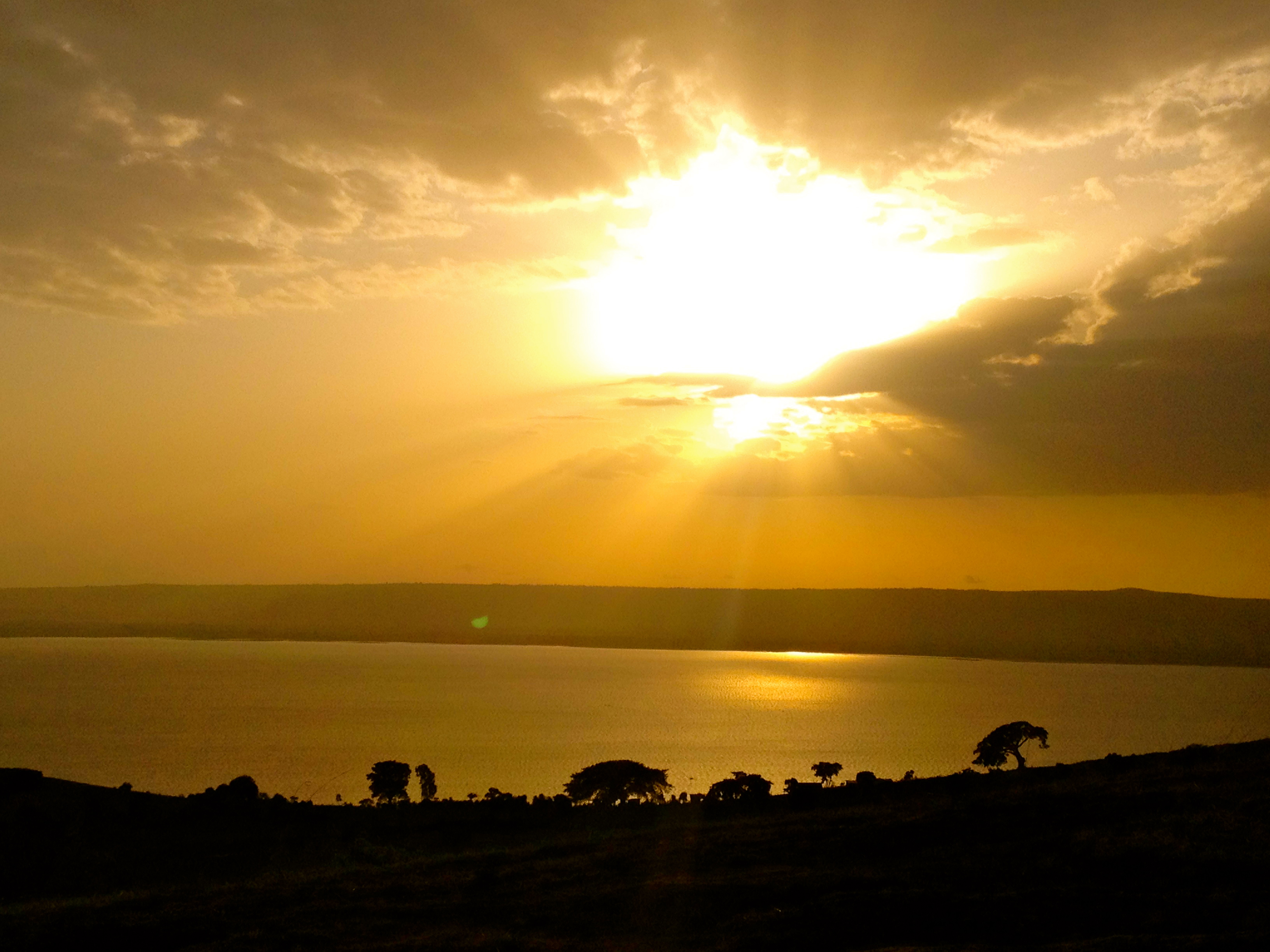 Advocacy for Oromia | empowering and enabling people