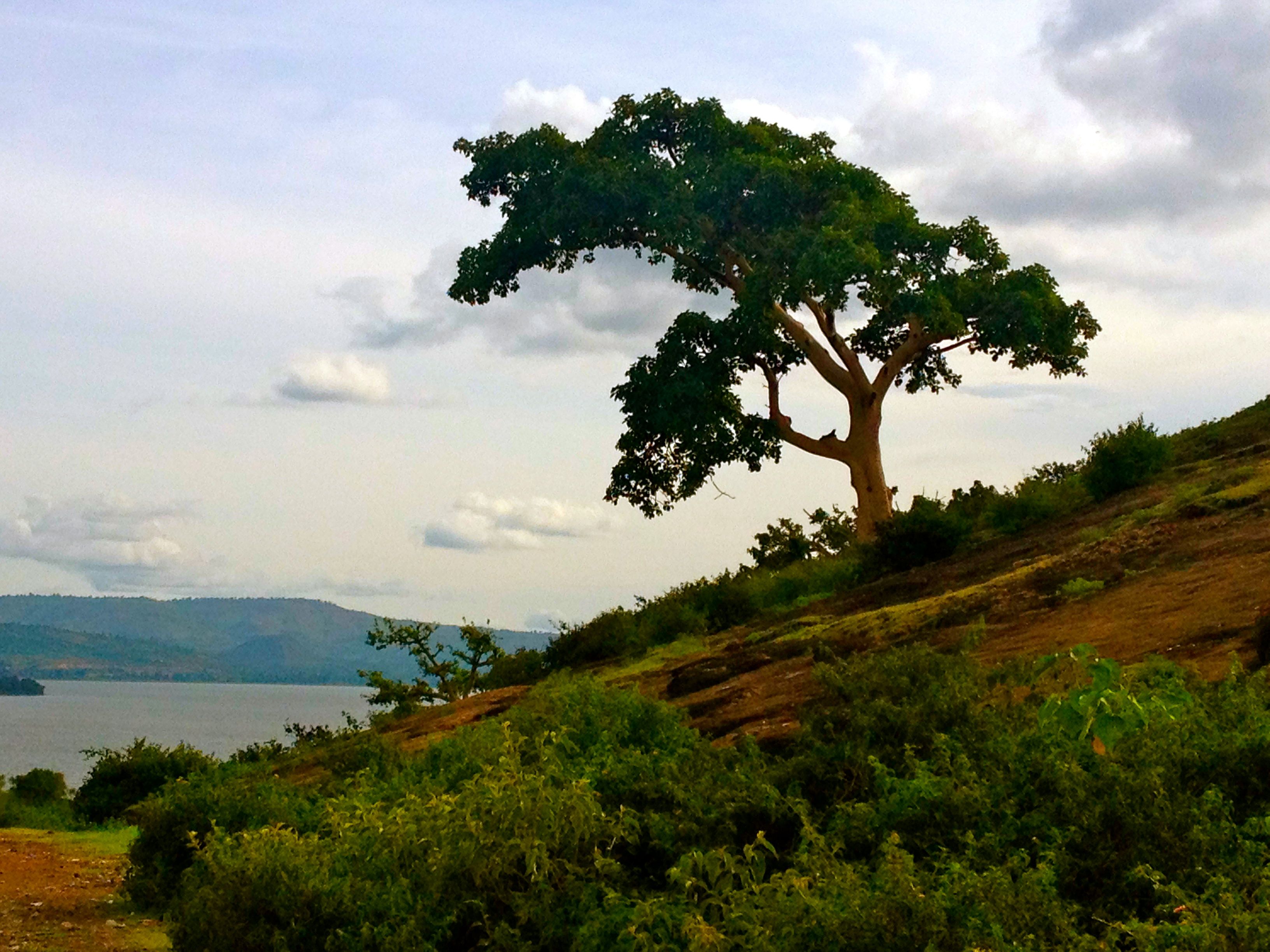 Beautiful Oromia Week | Advocacy for Oromia