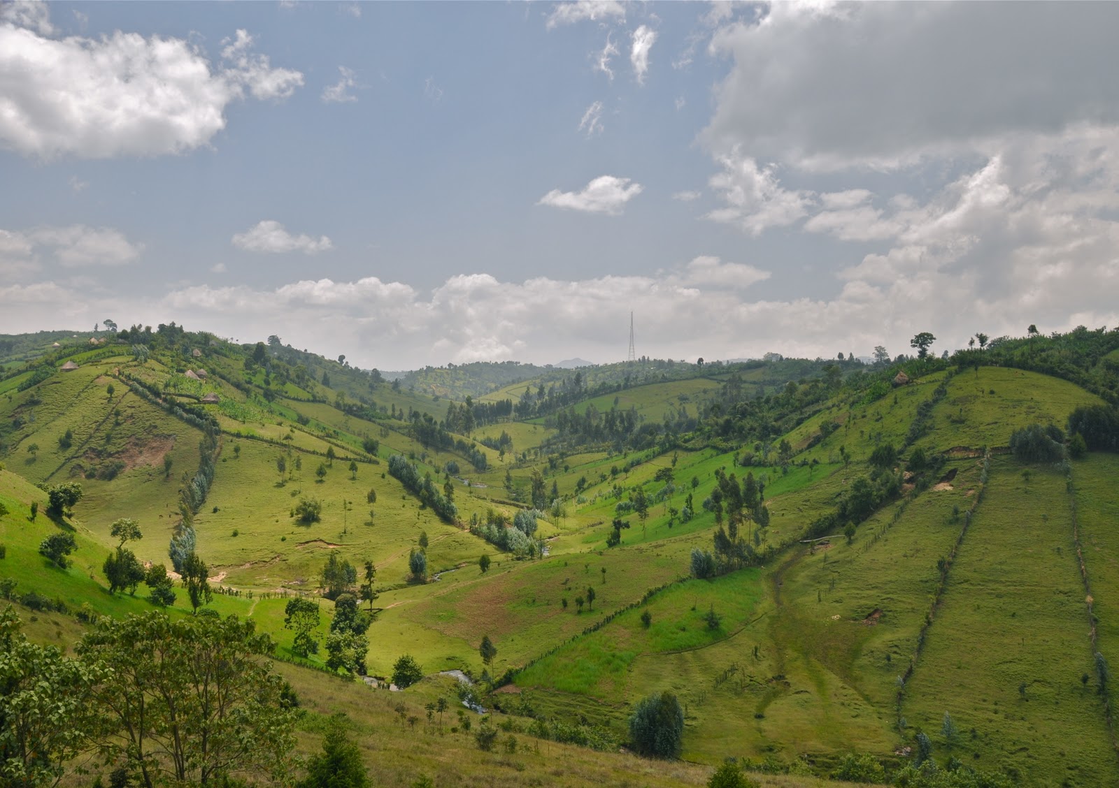 Beautiful Oromia Week | Advocacy for Oromia