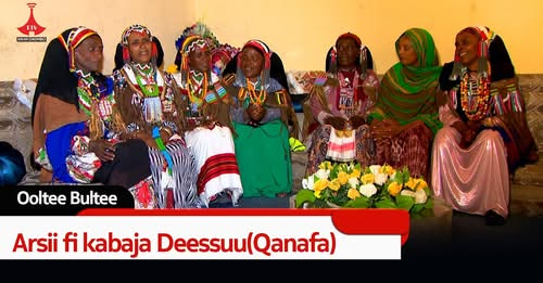 Understanding Qanafa Culture in Oromo Society | Advocacy for Oromia