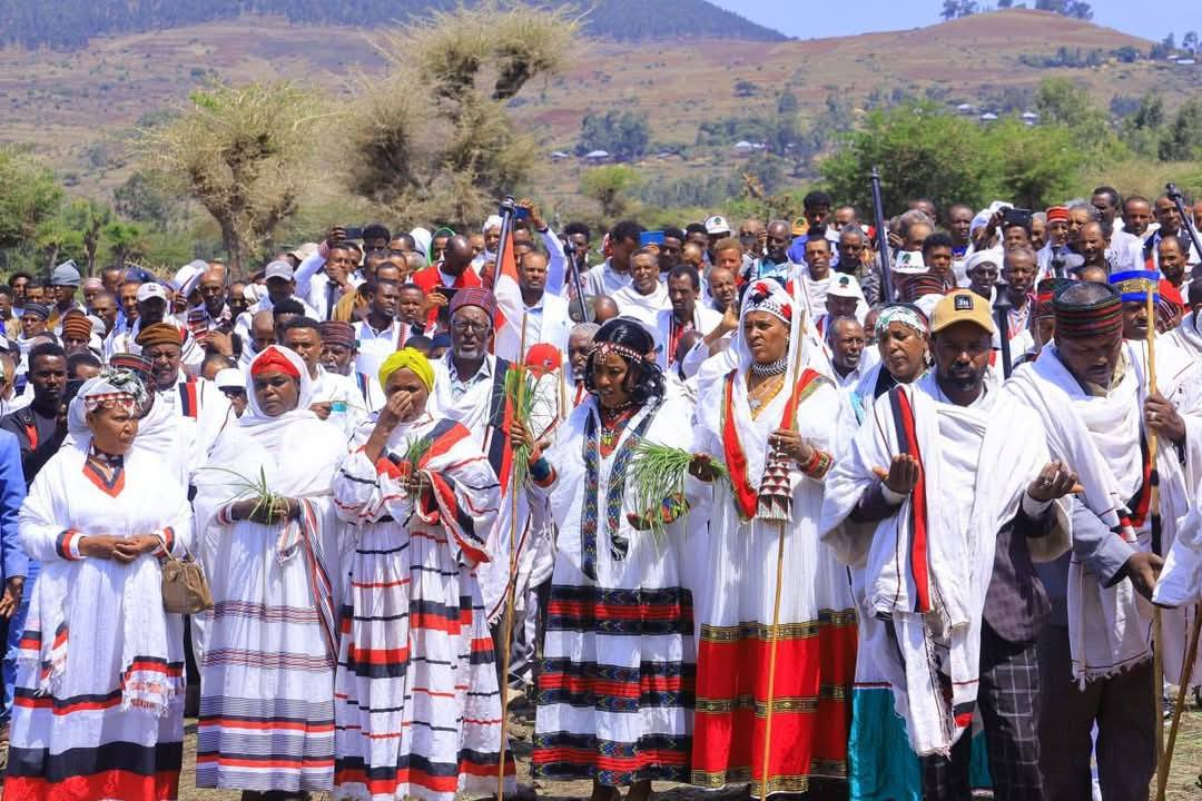 Oromo Tulama Gada Migration: A Path to Reconciliation | Advocacy for Oromia