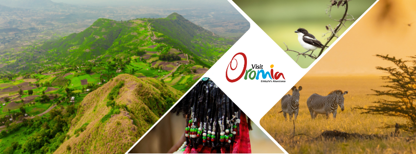 Commissioner Lelise Dhugaa: A Catalyst for Oromia’s Tourism | Advocacy ...