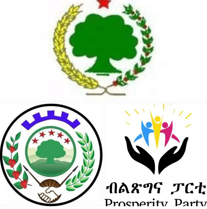 Inclusive Dialogue: A Path to Stability in Oromia | Advocacy for Oromia