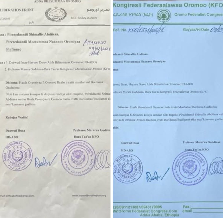 Promoting Peace Through Dialogue: OLF and OFC’s Efforts in Oromia ...