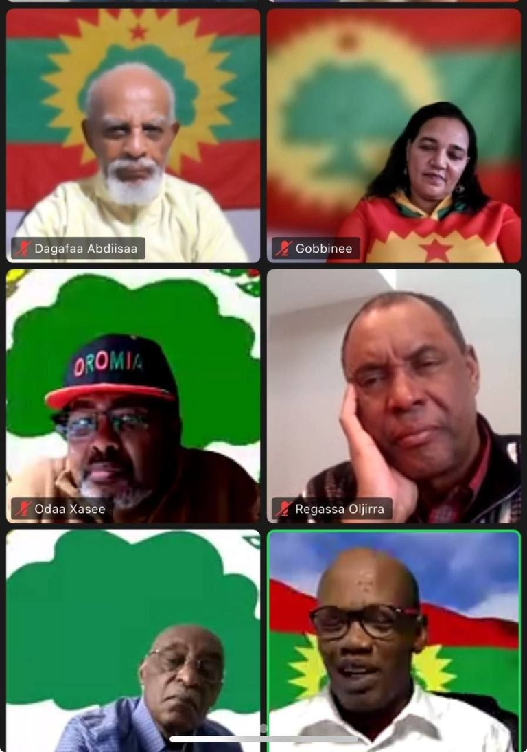 Global Oromo Diaspora Marks New Year and OLA Anniversary | Advocacy for ...