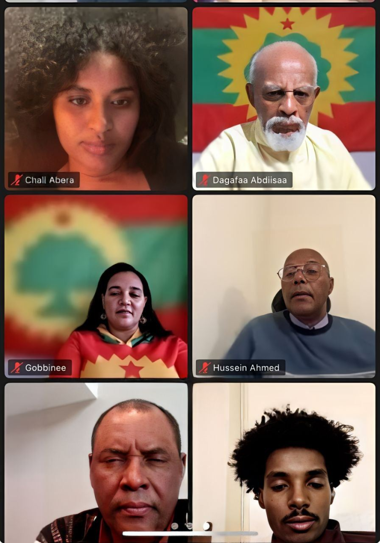 Global Oromo Diaspora Marks New Year and OLA Anniversary | Advocacy for ...
