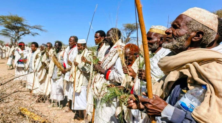 Karrayyu Jila: A Cultural Ceremony of Continuity | Advocacy for Oromia