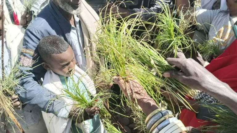 Karrayyu Jila: A Cultural Ceremony of Continuity | Advocacy for Oromia