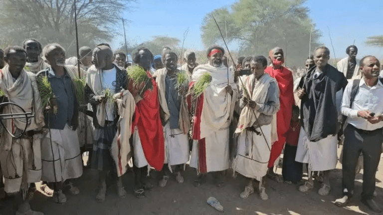Buttaa Qaluu Ceremony: A Cultural Milestone for the Karrayyu Oromo ...