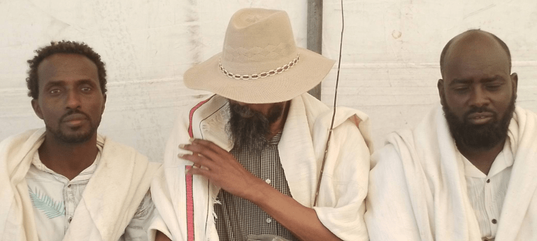 Buttaa Qaluu Ceremony: A Cultural Milestone for the Karrayyu Oromo ...