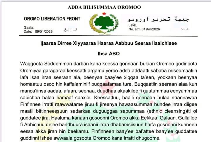 A City Rises, A People Displaced: Oromo Liberation Front Condemns ‘Mega ...